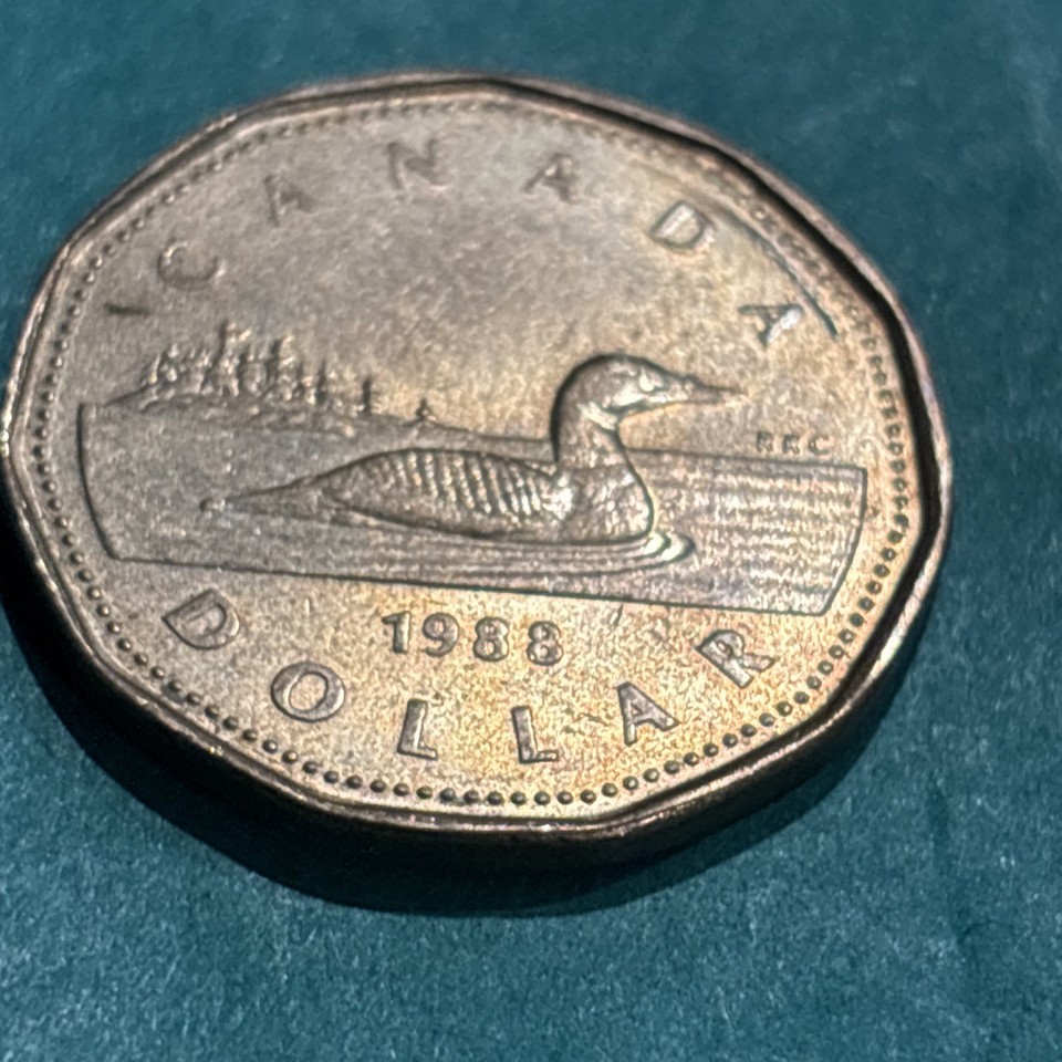 Canadian One Dollar Loonie Coin $1 Canada Elizabeth II D.G. Regina 1988 ...