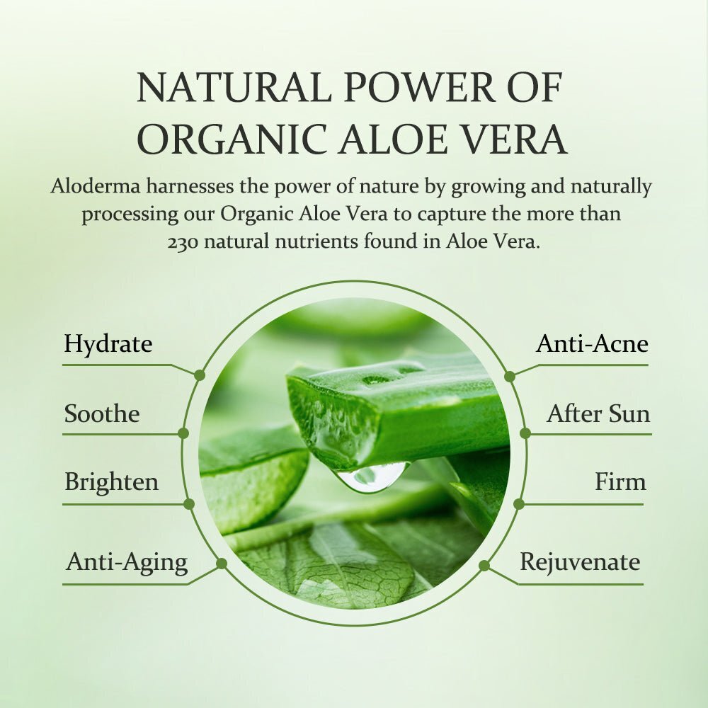 ALODERMA Pure Aloe Vera Gel 300g | eBay