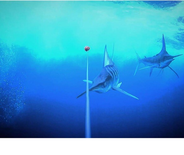 Go Fish Cam Waterproof Underwater Camera Long Battery Dark Shooting | eBay