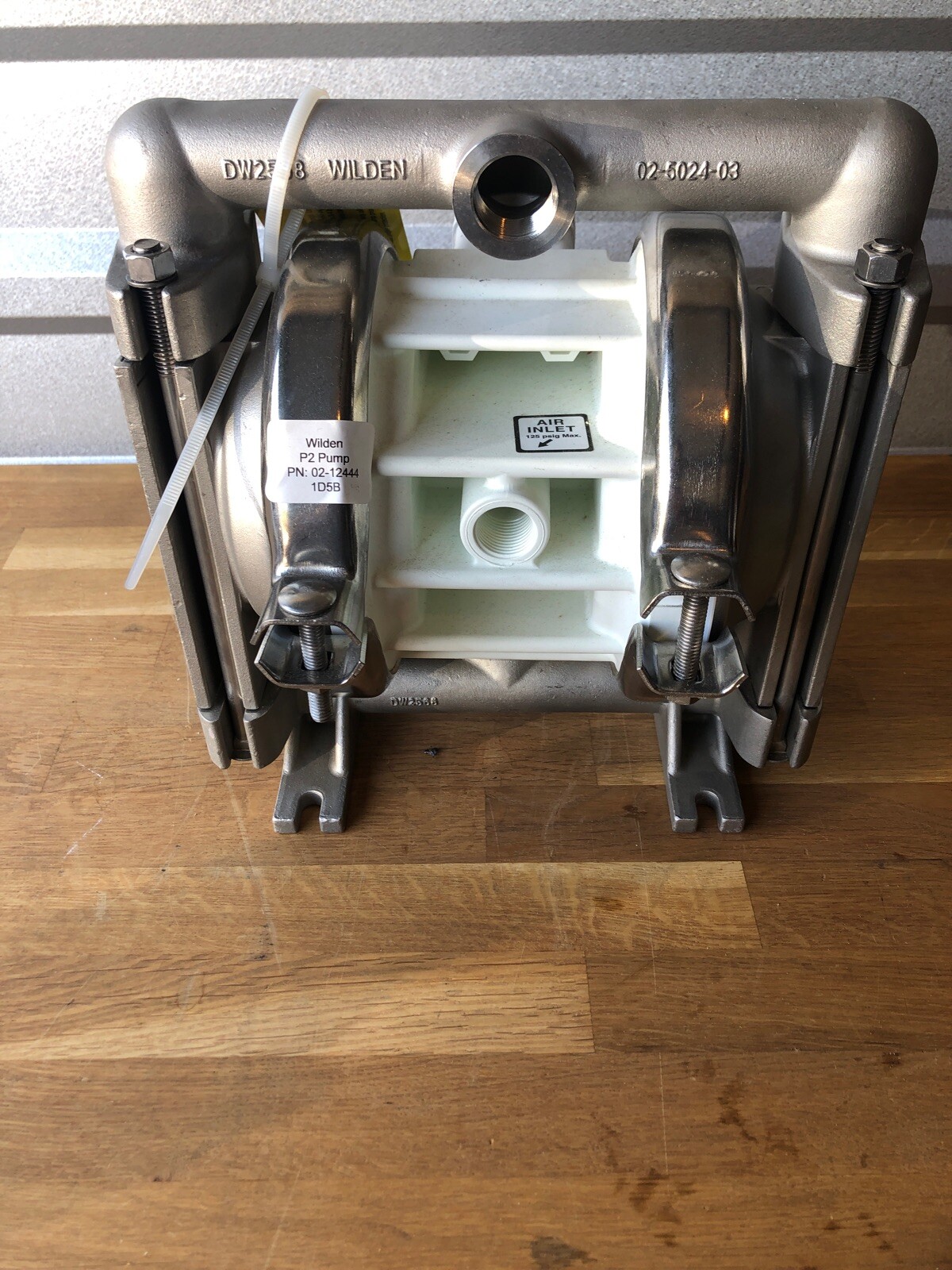 Wilden P2/SSPPP/TSU/TFS/STF/2000 Pump | eBay