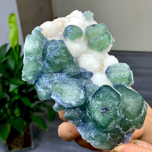 463G Natural transparent green cubic fluorite mineral crystal sample ...