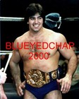 RICK MARTEL WRESTLER 8 X 10 WRESTLING PHOTO AWA WWF | eBay