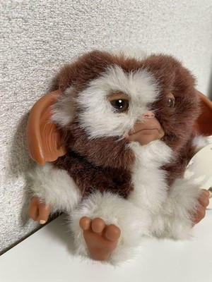 Gizmo Crying