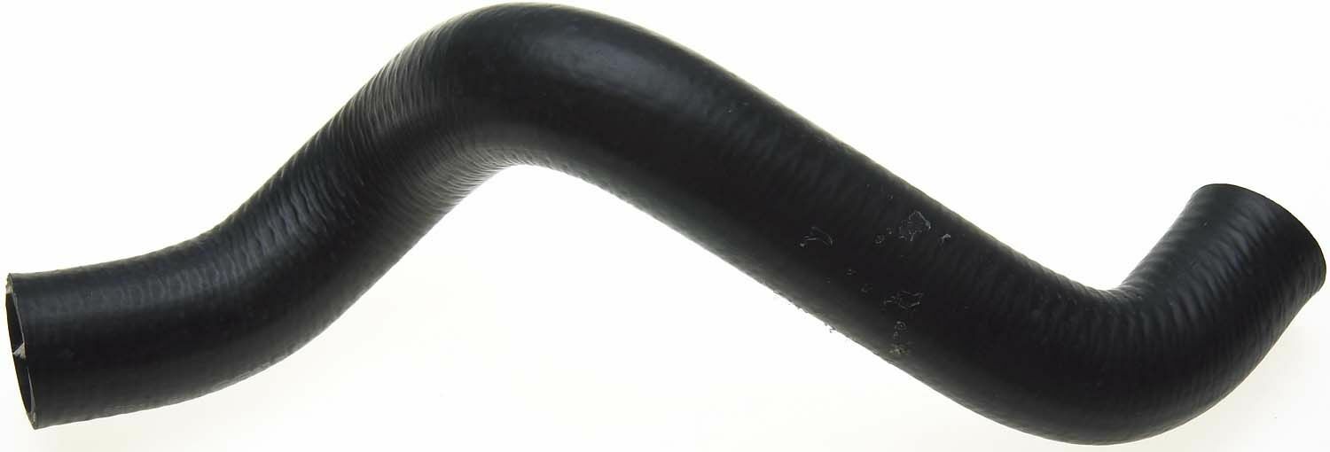 For 1998-2001 Chevrolet Lumina 3.1L V6 GAS Radiator Coolant Hose-Lower ...