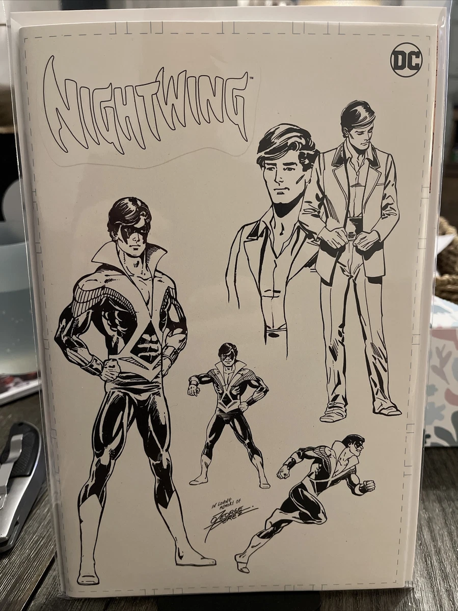 Nightwing Sketch