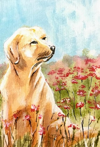 ACEO Original Painting Of Dog Labrador Art Card Acrylic Color 2.5X3.5 ...