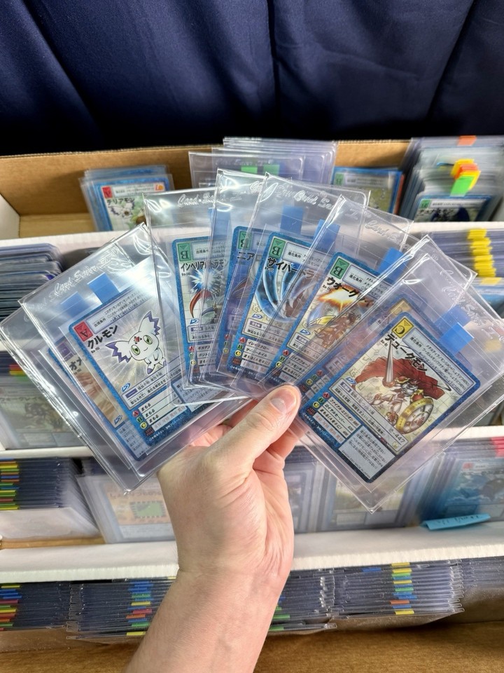 HUGE 500+ Digimon Digital Monster Hyper Colosseum Card Lot! Holos ...
