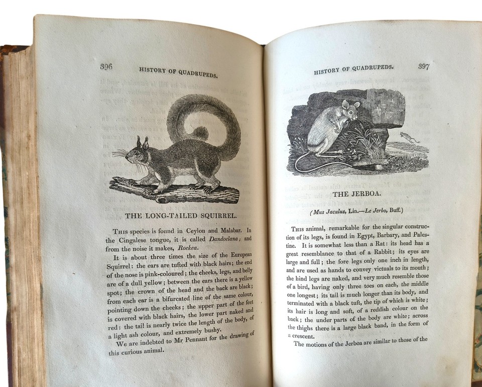 Thomas Bewick A General History of Quadrupeds Leather Binding 1824 | eBay