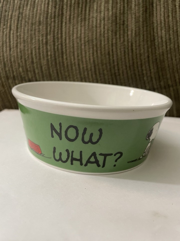 PEANUTS SNOOPY DOG DISH BOWL “Now What?" "More Please" *NEW* (B) | eBay