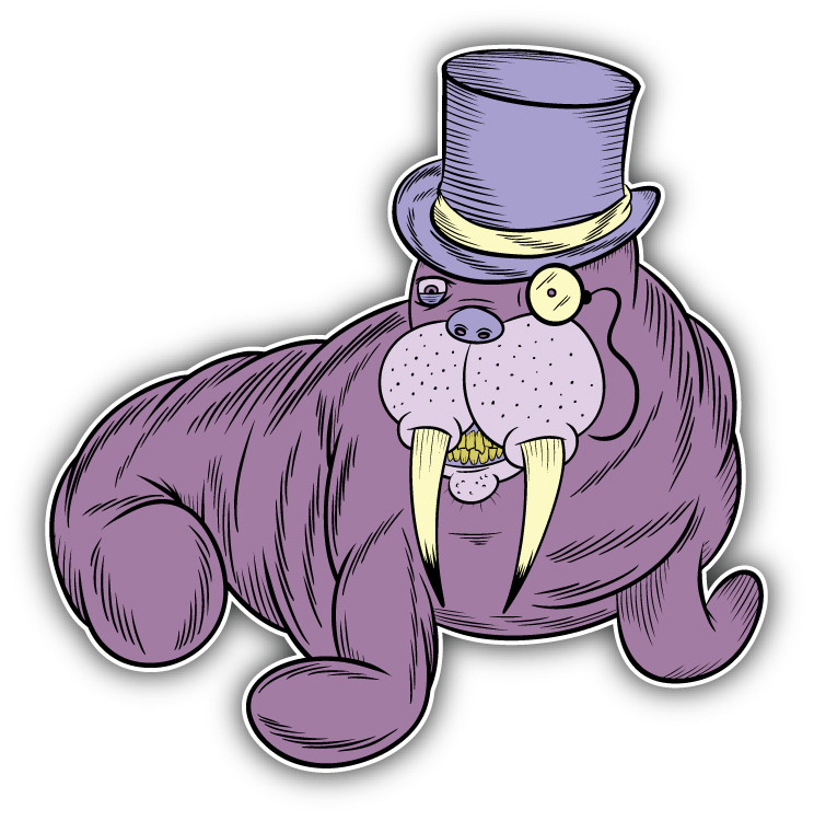 Distinguished Walrus Car Bumper Sticker Decal - ''SIZES'' | eBay