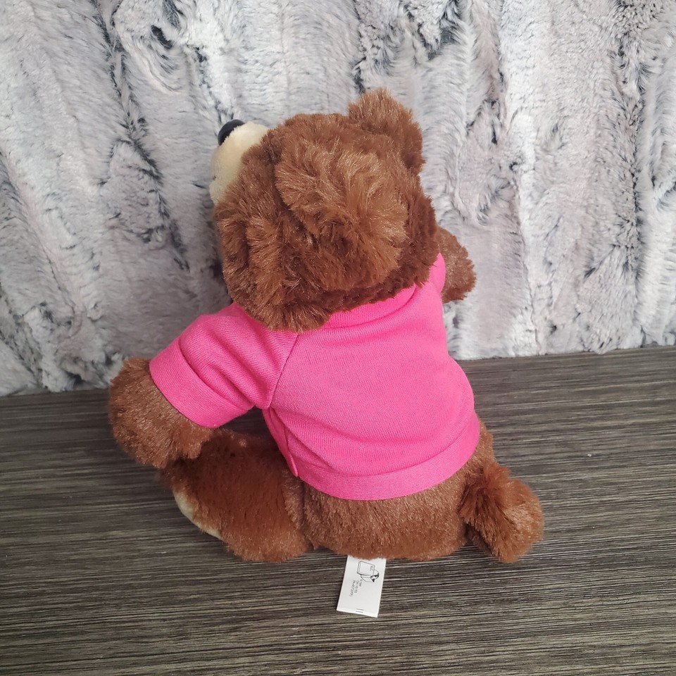 I Love Oregon Brown Teddy Bear Plush Souvenir Wearing Pink Sweatshirt ...