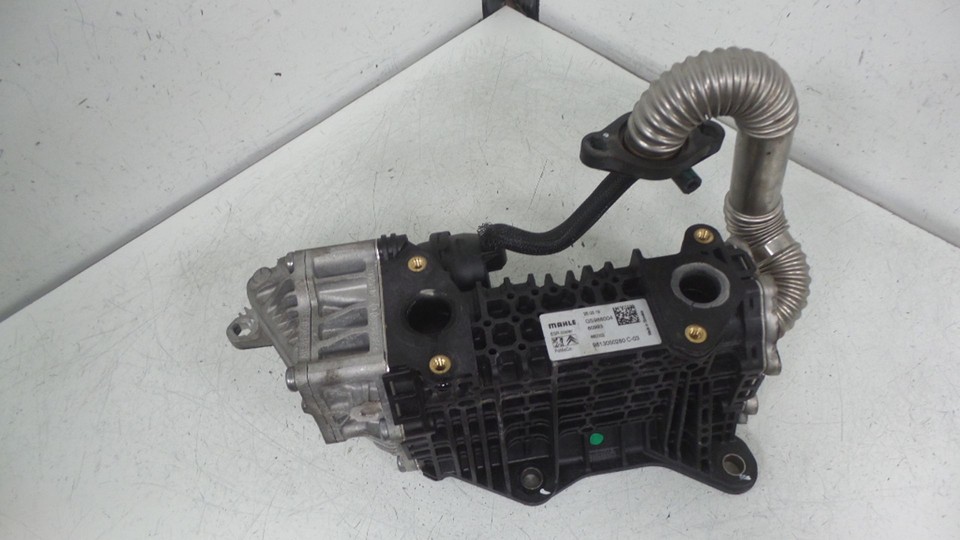 AGR KÜHLER 2019 9813050280/2311066/KV6Q9U443BB | eBay