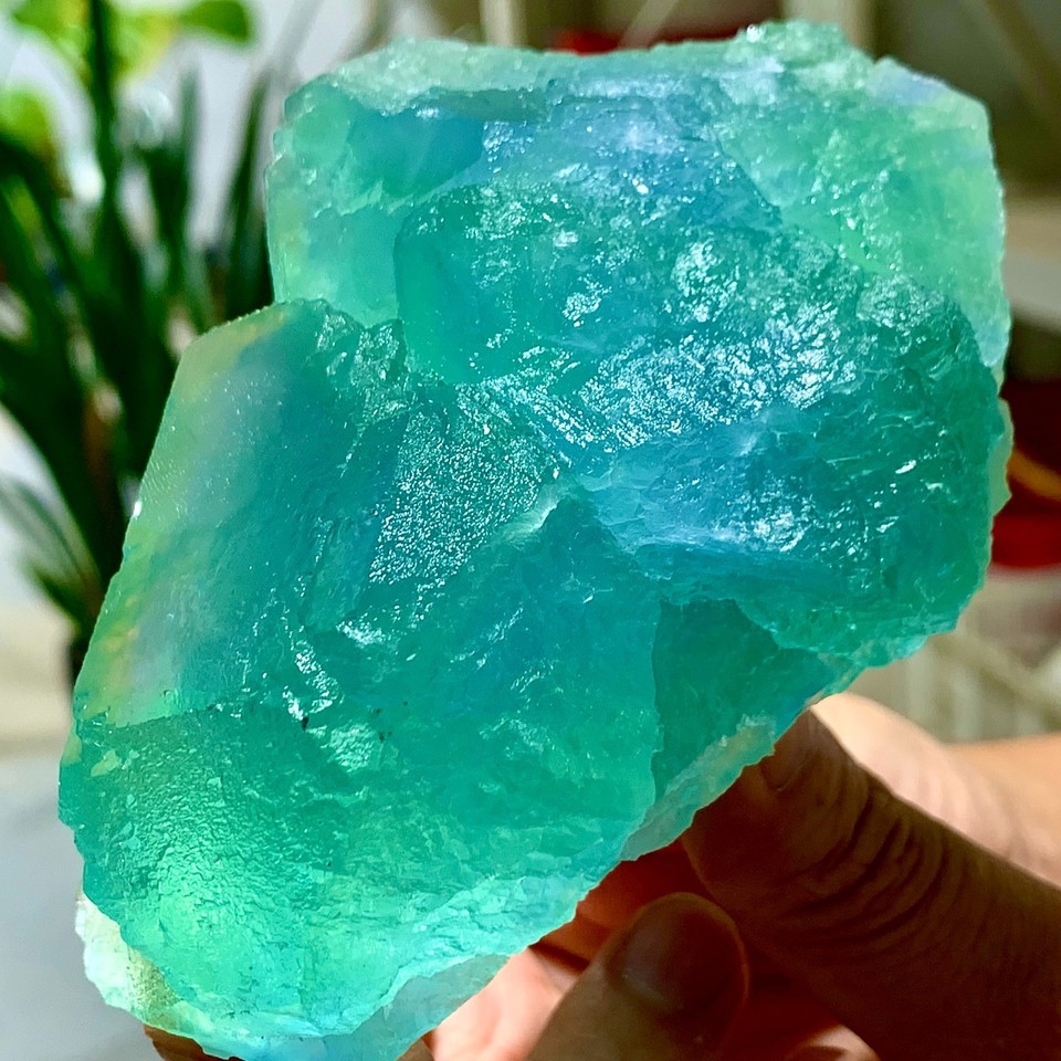 1.15LB Rare transparent green cubic fluorite mineral crystal sample ...