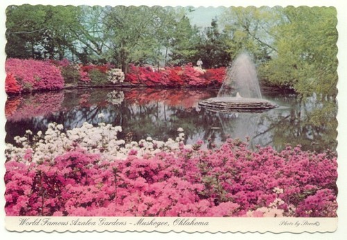 Muskogee OK Azalea Gardens Postcard ~ Oklahoma | eBay