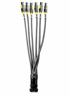 6 ft Breakout Cable Snake SOCAPEX 19 Pin to 6 True1 Female connectors ...