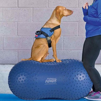 FitPAWS Plate-forme d' quilibre pour animaux de compagnie 60 cm Bleu | eBay