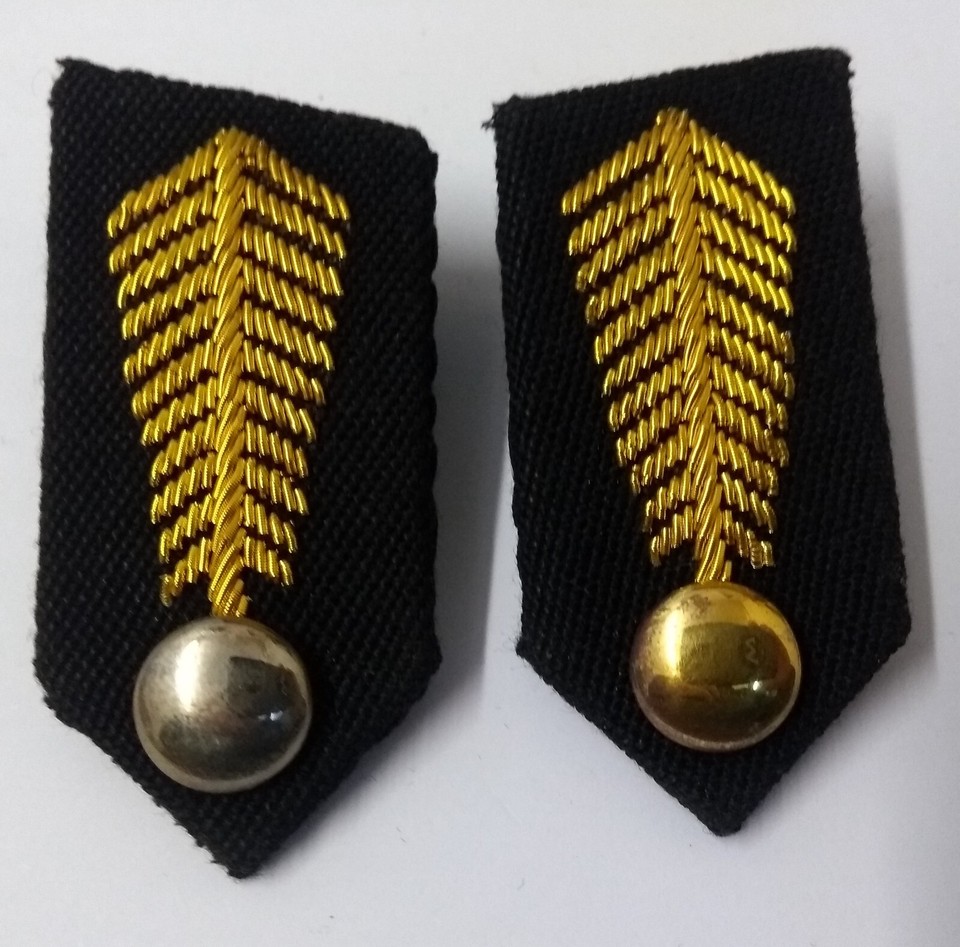 Military Gorgets Collar Tabs With Gold Leaf Detail Senior Officers ...