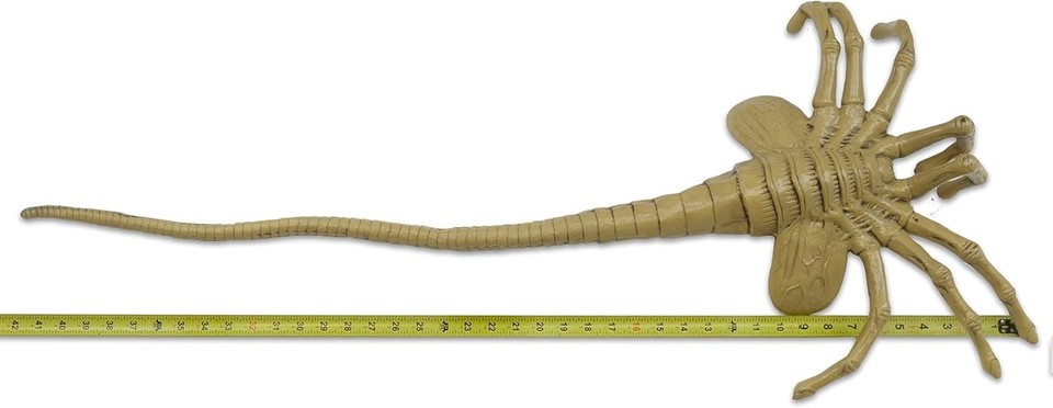 NECA ALIEN FACEHUGGER LIFE SIZE FOAM PROP REPLICA 40" LONG BRAND NEW | eBay