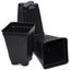 Small 2.2" SQUARE Deep BLACK NURSERY POTS SET OF 250 {2.2" x 3 ...