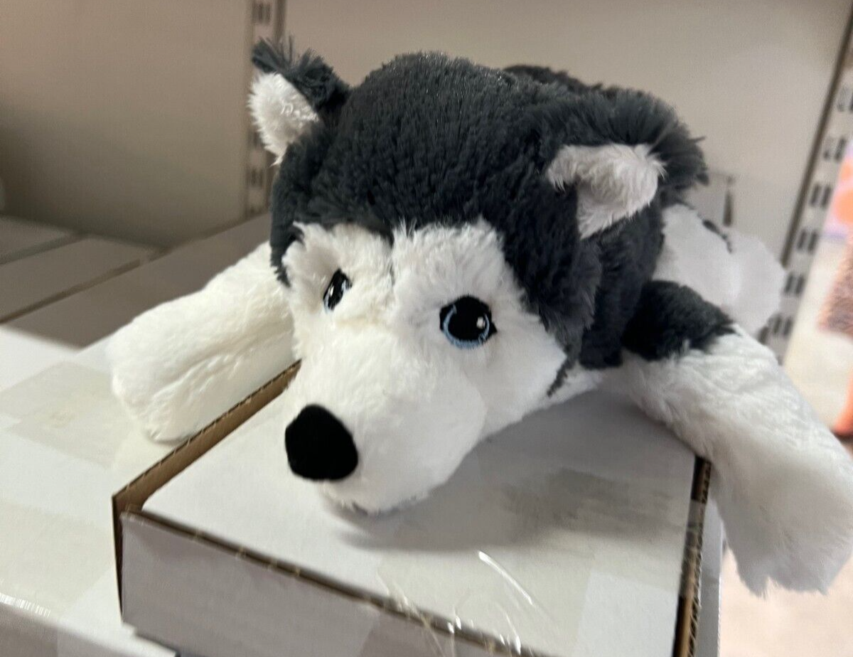 Husky Teddy Ikea | atelier-yuwa.ciao.jp