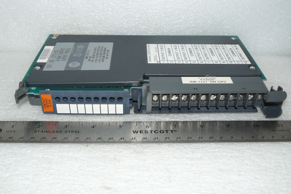 ALLEN BRADLEY 1771-OZL OUTPUT MODULE 0-24V REED RELAY NEW | eBay