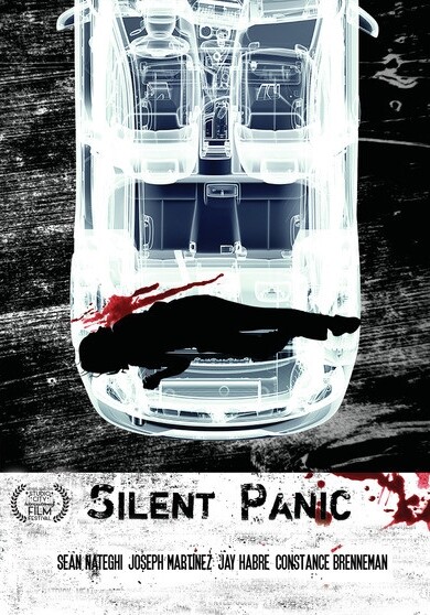 Silent Panic (DVD, 2020) for sale online | eBay UK