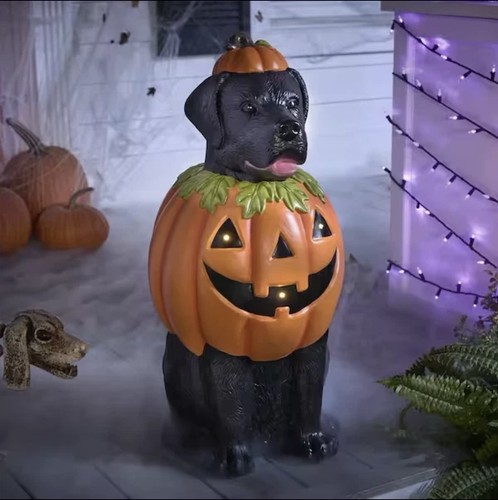 Black Labrador Halloween Dog w/ Pumpkin Costume LED 2025 Home Depot 2.5 ...