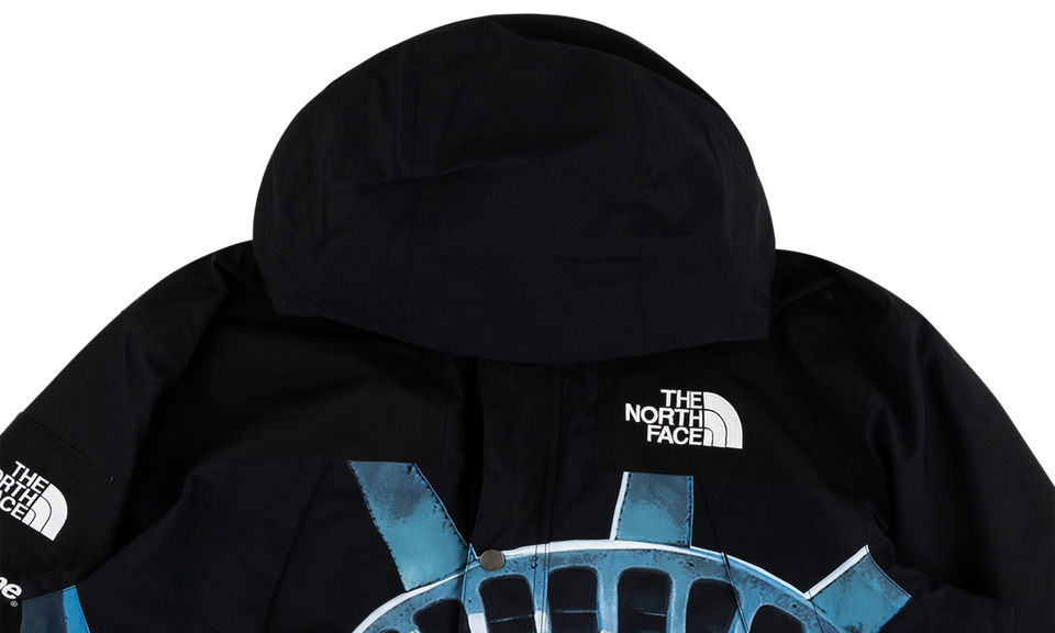 DS New Supreme TNF North Face Mountain Jacket FW 19 Statue of Liberty ...