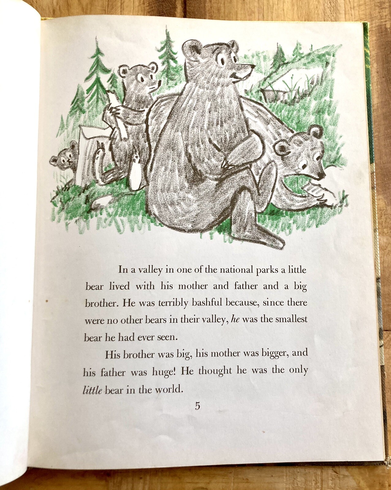 THE BASHFUL BEAR 🐻by EARLE GOODENOW 1963 1ST EDITION HARDCOVER ...