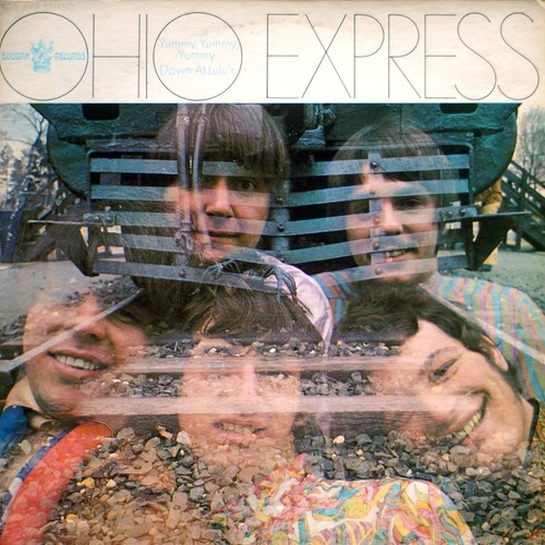 Ohio Express - Ohio Express [NH04-059] original LP | eBay