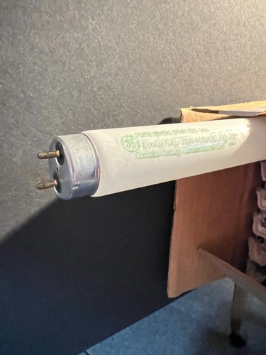 GE Fluorescent Light Bulb 93906 25W 48" T8 Med Bi-Pin (G13) Base 4100K ...