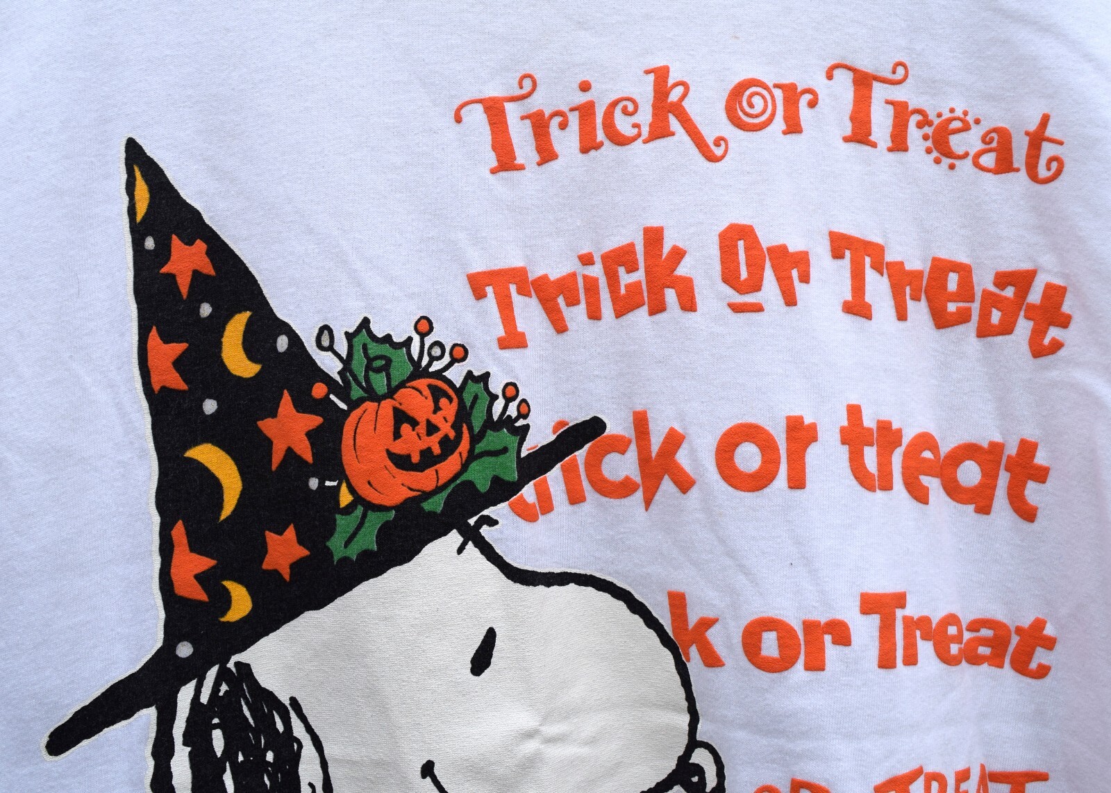 Vintage Official Peanuts Snoopy Witch Woodstock Hallo… - Gem