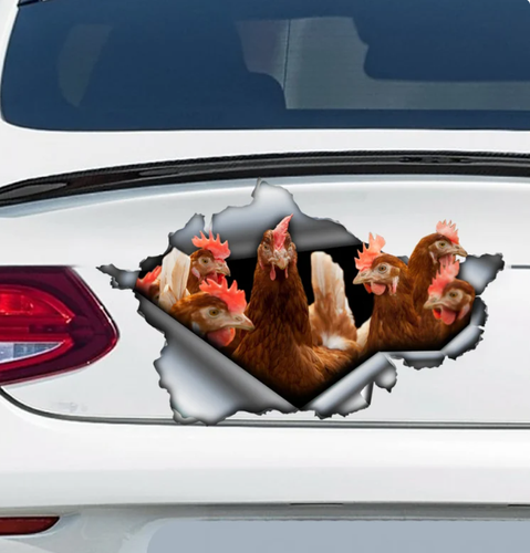 Brown chickens car decal, chicken magnet, brown chicken car sticker ...