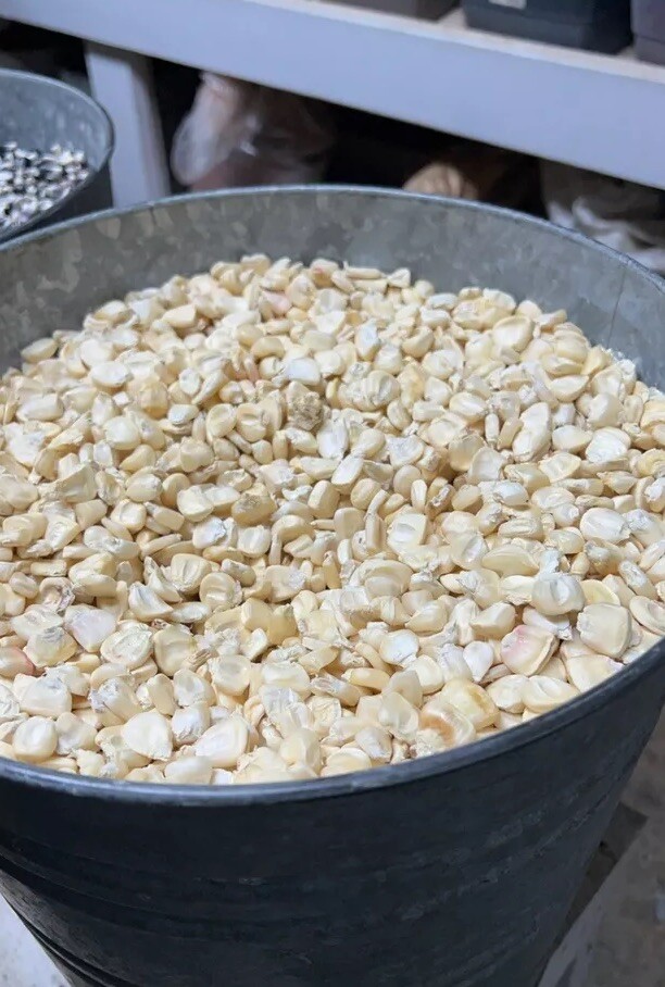 Hominy White Corn -Bulk - Maiz Pozolero Blanco 1 Lb, Fast Shipping | eBay