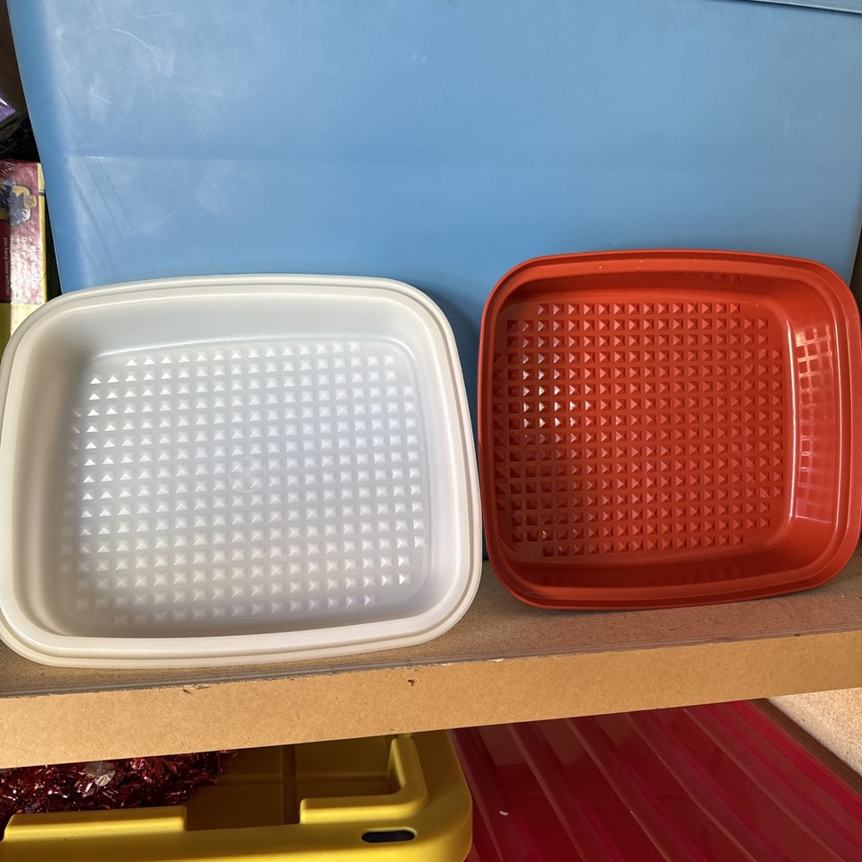 Vintage Tupperware Large Meat Tenderizer Marinade Storage Container w ...