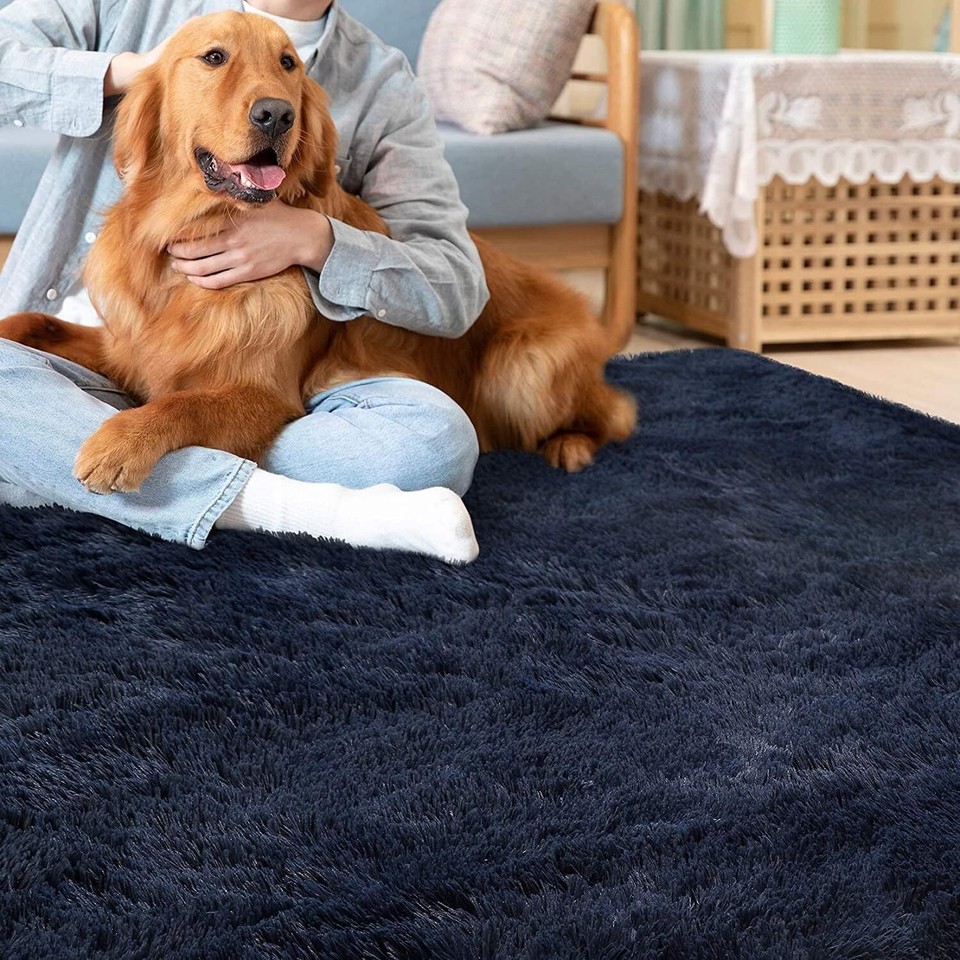 Fluffy Rugs Rug Carpet Large Shaggy Super Soft Mat Living Room Bedroom ...