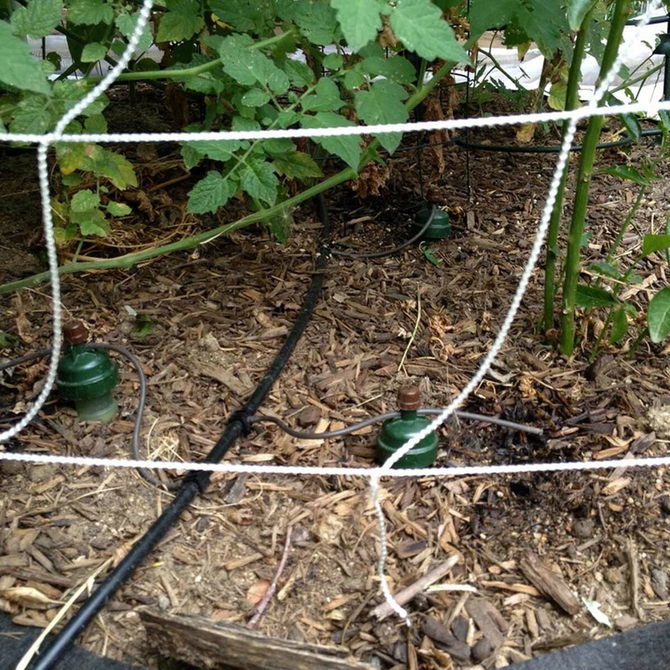 Blumat (5 Stake) Starter Kit - Automatic Drip Watering Irrigation ...