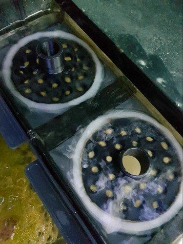 Red Sea Reefer Aquarium Filter Sock / Cup Silencer. Available in other ...