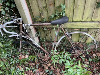 Breaking - Garden Find - Classic steel Dawes racer Cycle Bicycle , 23 ...