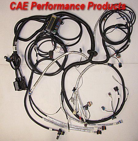 BRAND NEW LS2 6.0 LITRE ENGINE LOOM CONVERSION MANUAL T56, T350, T400 ...