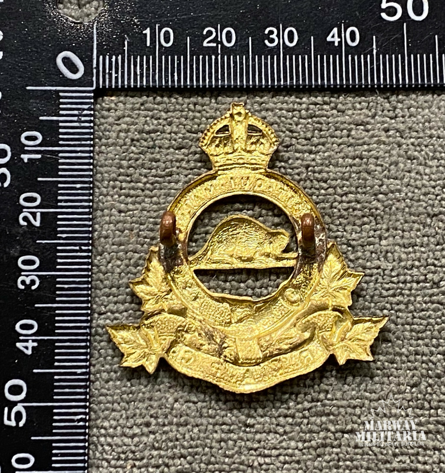Royal Canadian Army Pay Corps Cap Badge (23038) | eBay
