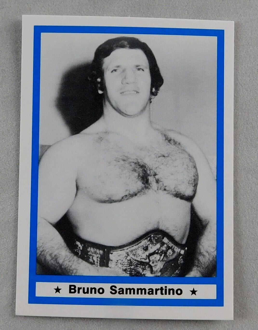 Bruno Sammartino #38 Pro Wrestling Legends Trading Card Wrestler 1991 ...