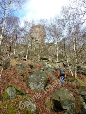 Photo 6x4 Boulders below Rivelin Needle Load Brook The tree-shrouded ...