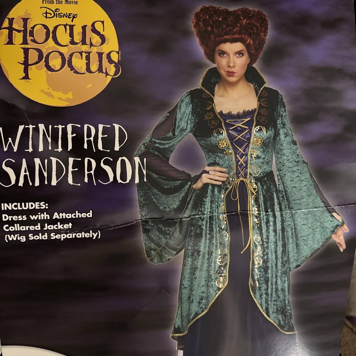 Hocus Pocus Winifred Costume