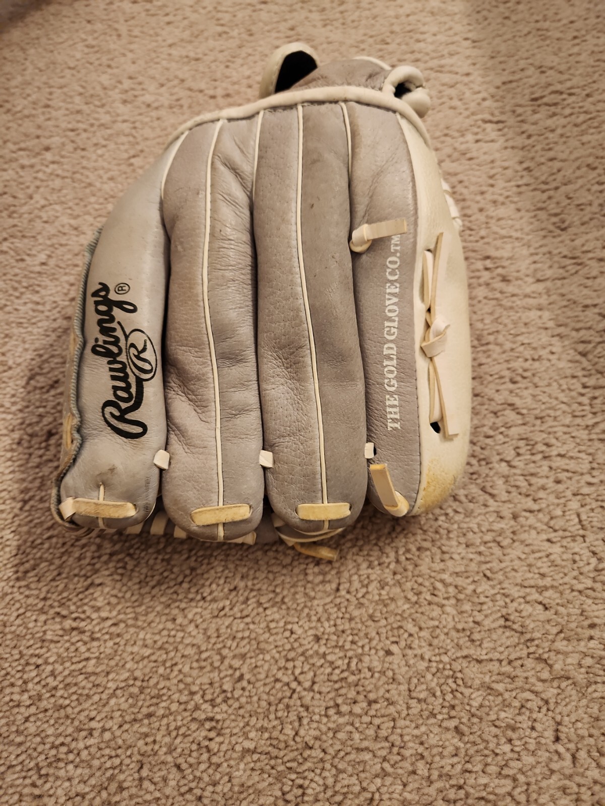 Rawlings 12'' Highlight Series All Leather Shell Fastpitch Glove ...