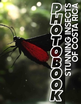 Stunning Insects Of Costa Rica Photo Book: Explore 40 Vibrant Images Of ...
