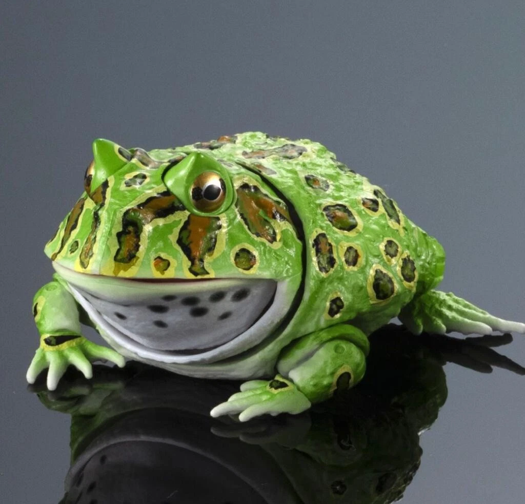 Japanese Pacman Frogs