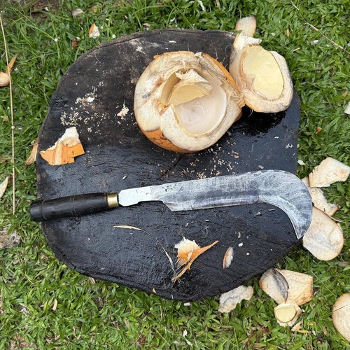 BILLHOOK SICKLE MACHETE KNIFE FOR CLEARING & HARVESTING YARDTOOL ...