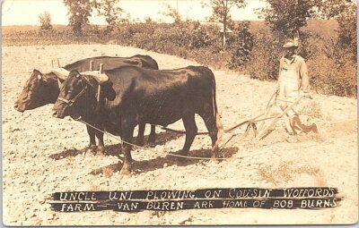 RPPC Van Buren AR Hillbilly Scene Uncle Uni Plowing on Cousin Wofford ...