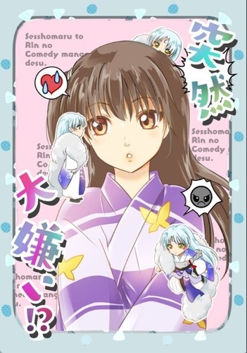 Inuyasha Doujinshi ( Sesshomaru x Rin ) Totsuzen daikirai!? Kasha | eBay
